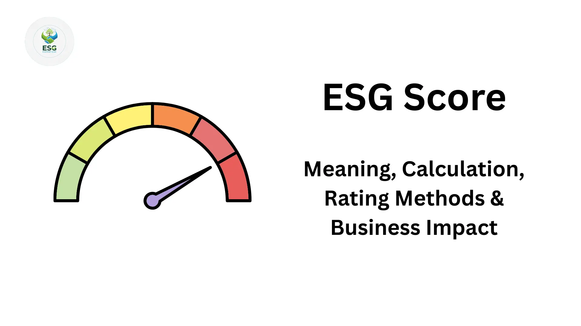 ESG Score: Meaning, Calculation Methods, Rating Agencies & Business Impact